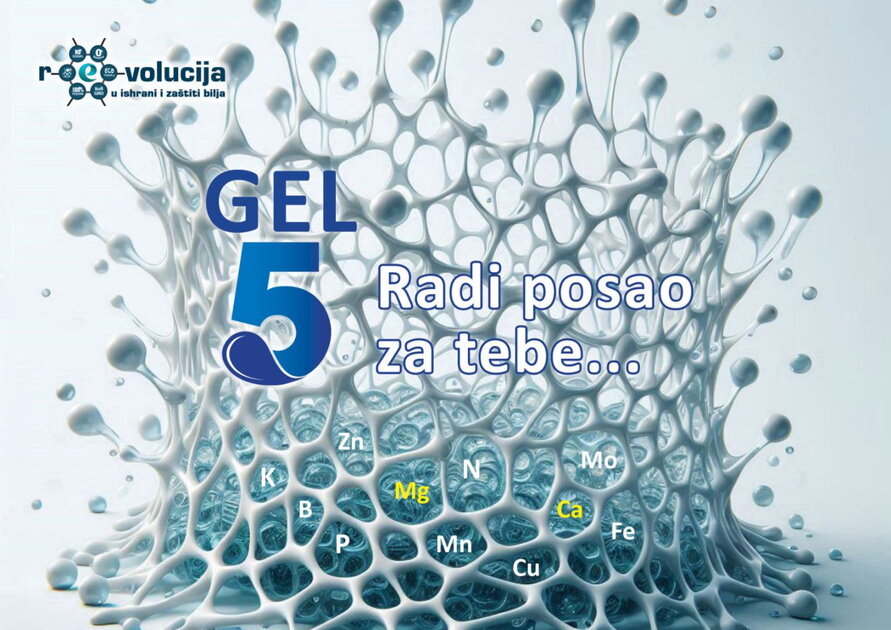 GEL FIVE